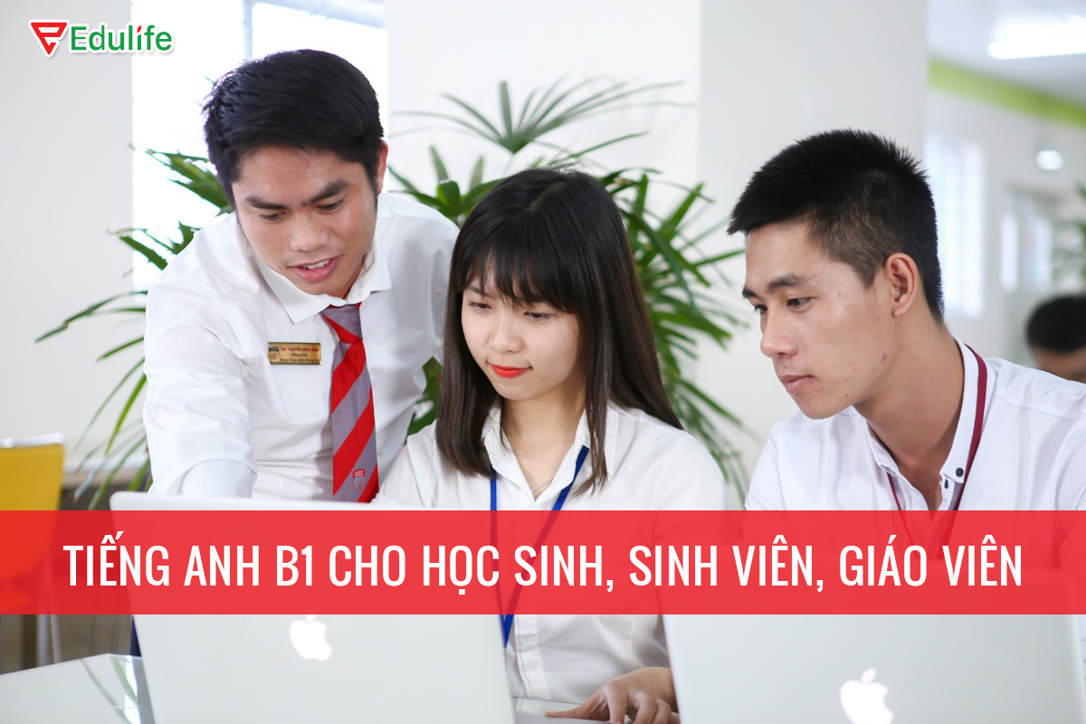 Học TOEIC hay B1 dễ hơn? Nên thi TOEIC hay B1
