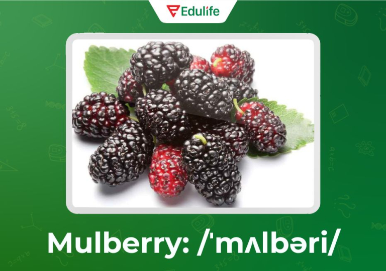 Màu tím tiếng Anh là gì? 10 thành ngữ tiếng Anh chứa purple