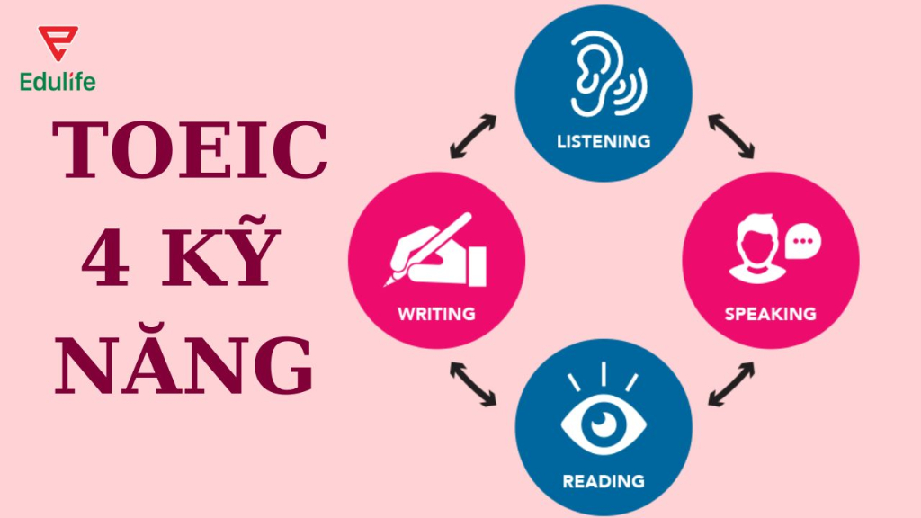 Thi chứng chỉ TOEIC: cẩm nang từ A-Z cho người mới bắt đầu