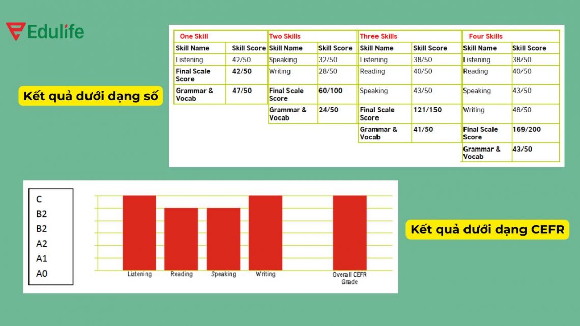 Cách đọc hiểu phiếu kết quả Aptis Score 2025 đơn giản, dễ nhớ