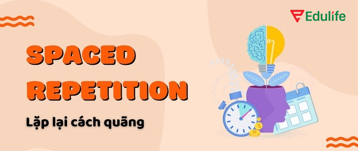 Spaced Repetition là gì? Cách học tiếng Anh hiệu quả nhớ lâu